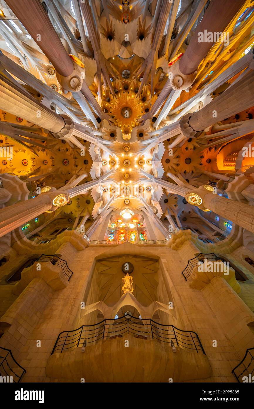 Artistic ceiling vault with columns, interior of the Sagrada Familia ...