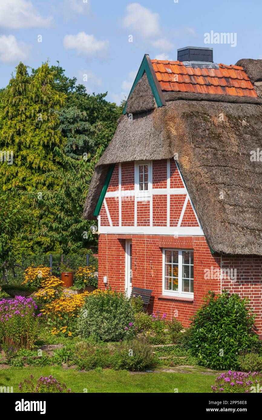 Thatched half-timbered house, Steinkirchen, Altes Land, Lower Saxony ...