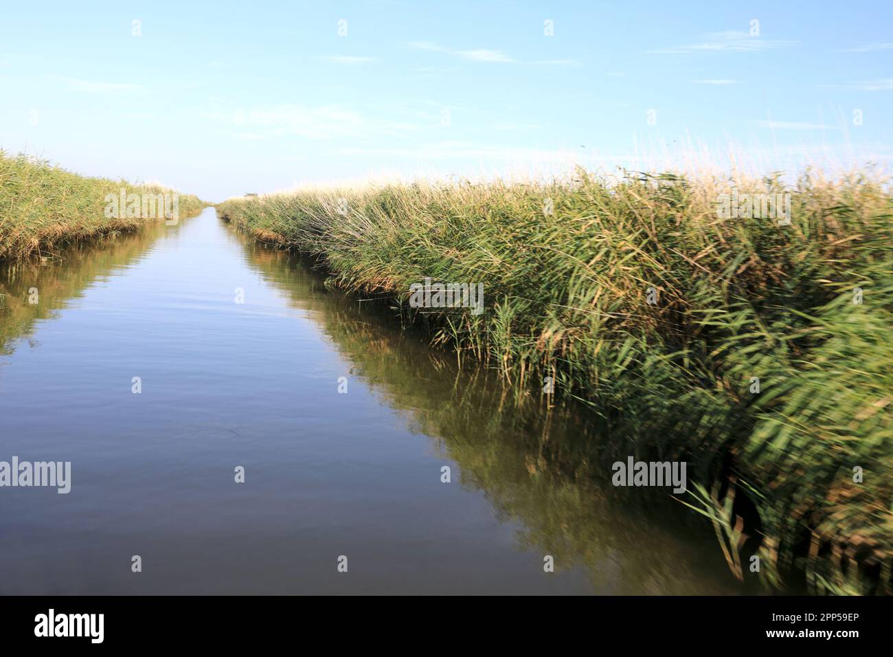 Landscape of estuary near Primorsko-Akhtarsk in summer Stock Photo - Alamy