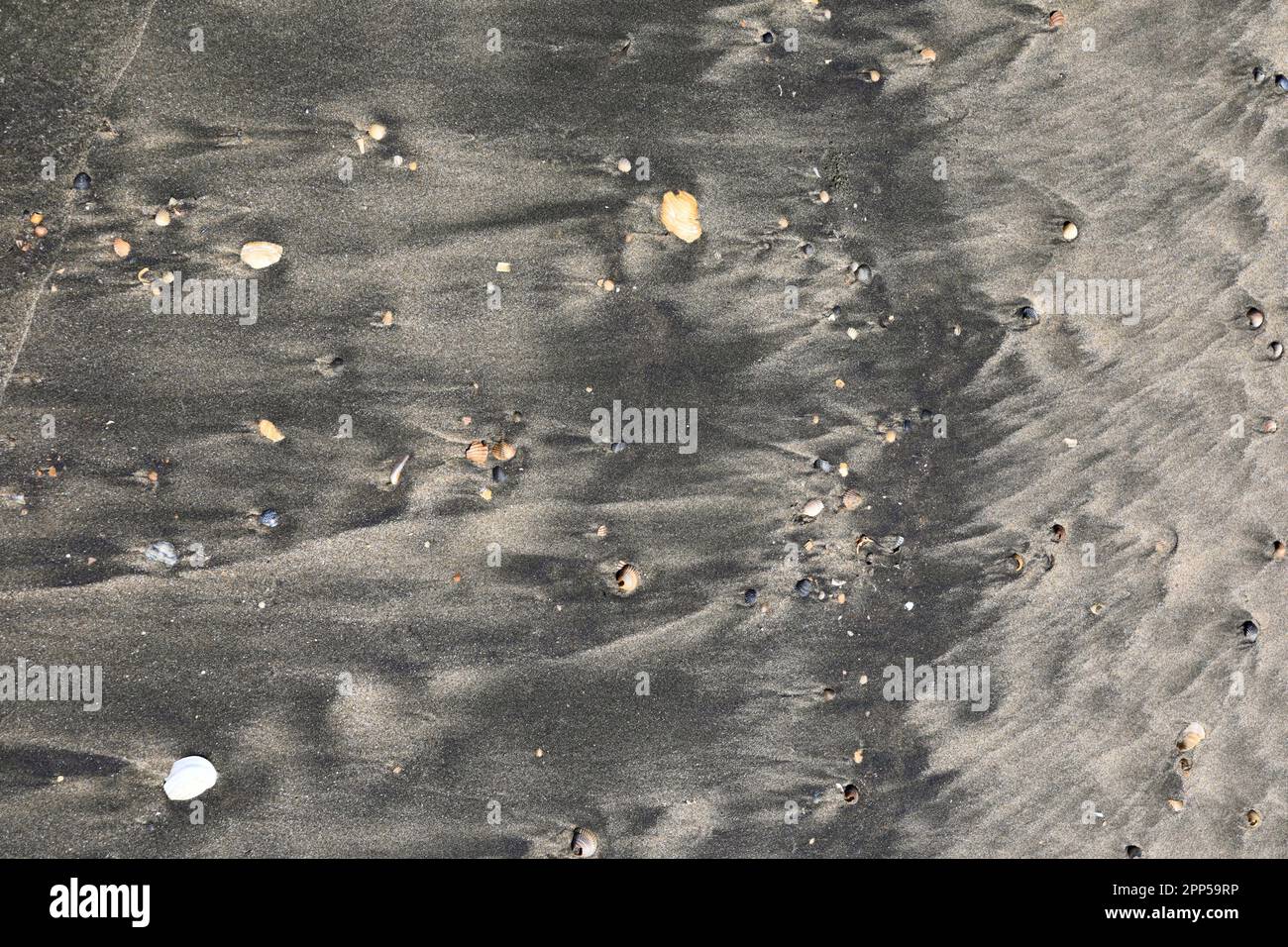Sand on beach of Sea of Azov, Primorsko-Akhtarsk Stock Photo - Alamy