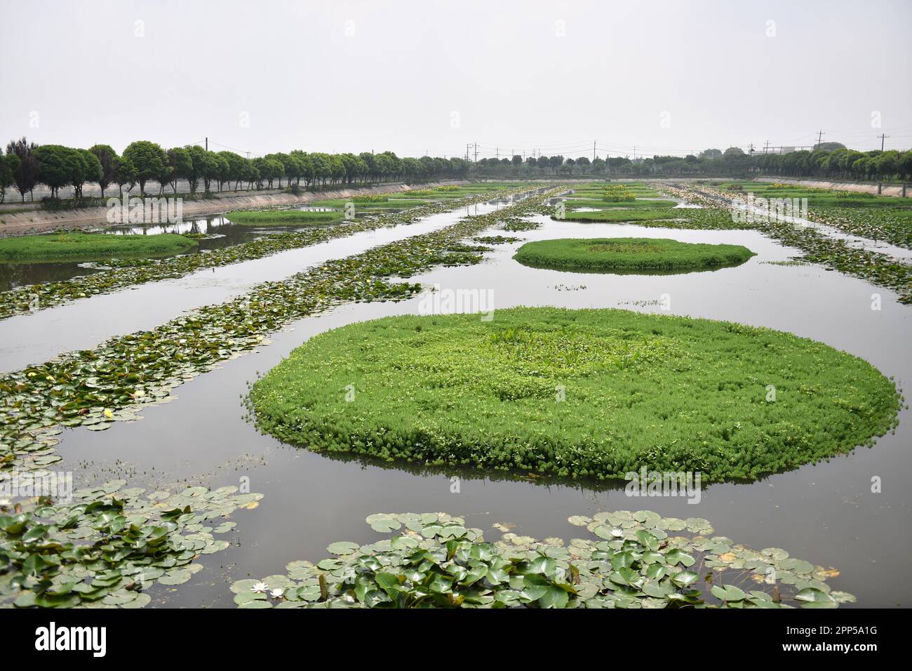 Yiyang. 20th Apr, 2023. This photo taken on April 20, 2023 shows a view ...