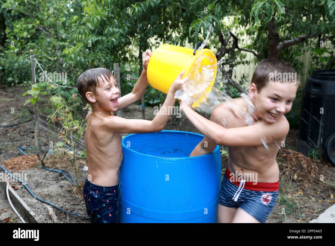 Kids pour water on each other in backyard in summer Stock Photo - Alamy