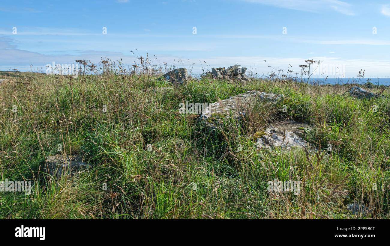 Clyth hi-res stock photography and images - Alamy