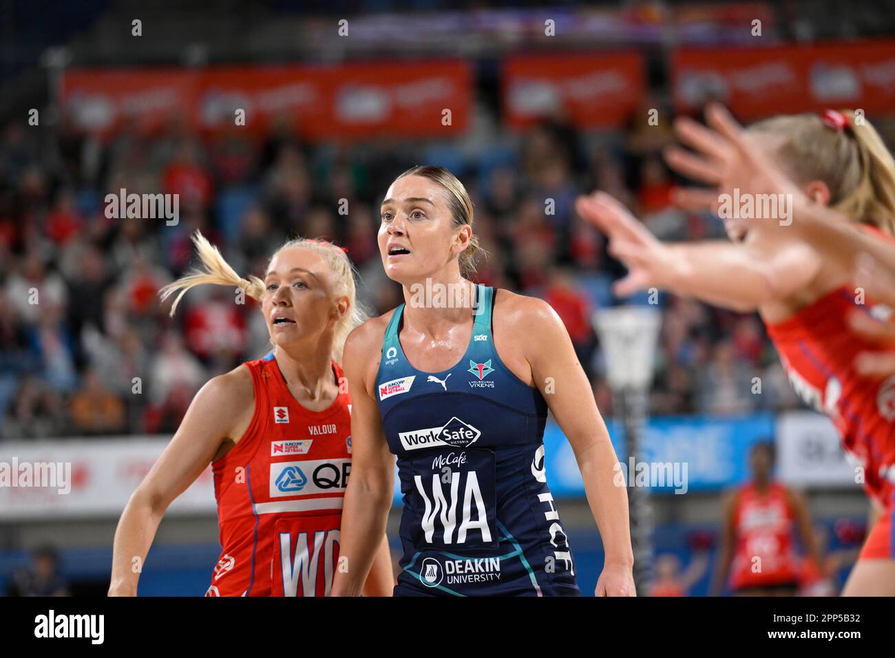 22nd April 2023; Ken Rosewall Arena, Sydney, NSW, Australia: Suncorp ...