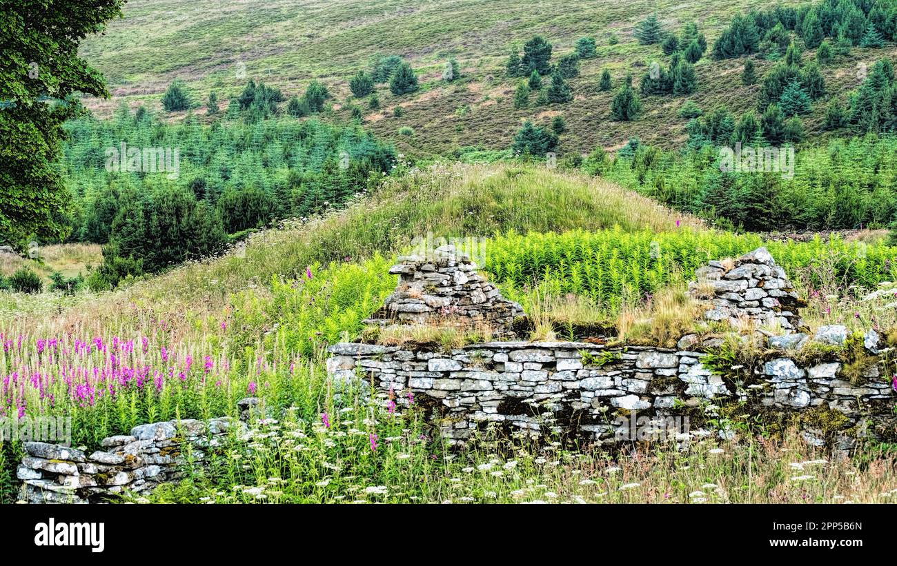 Rumster broch hi-res stock photography and images - Alamy