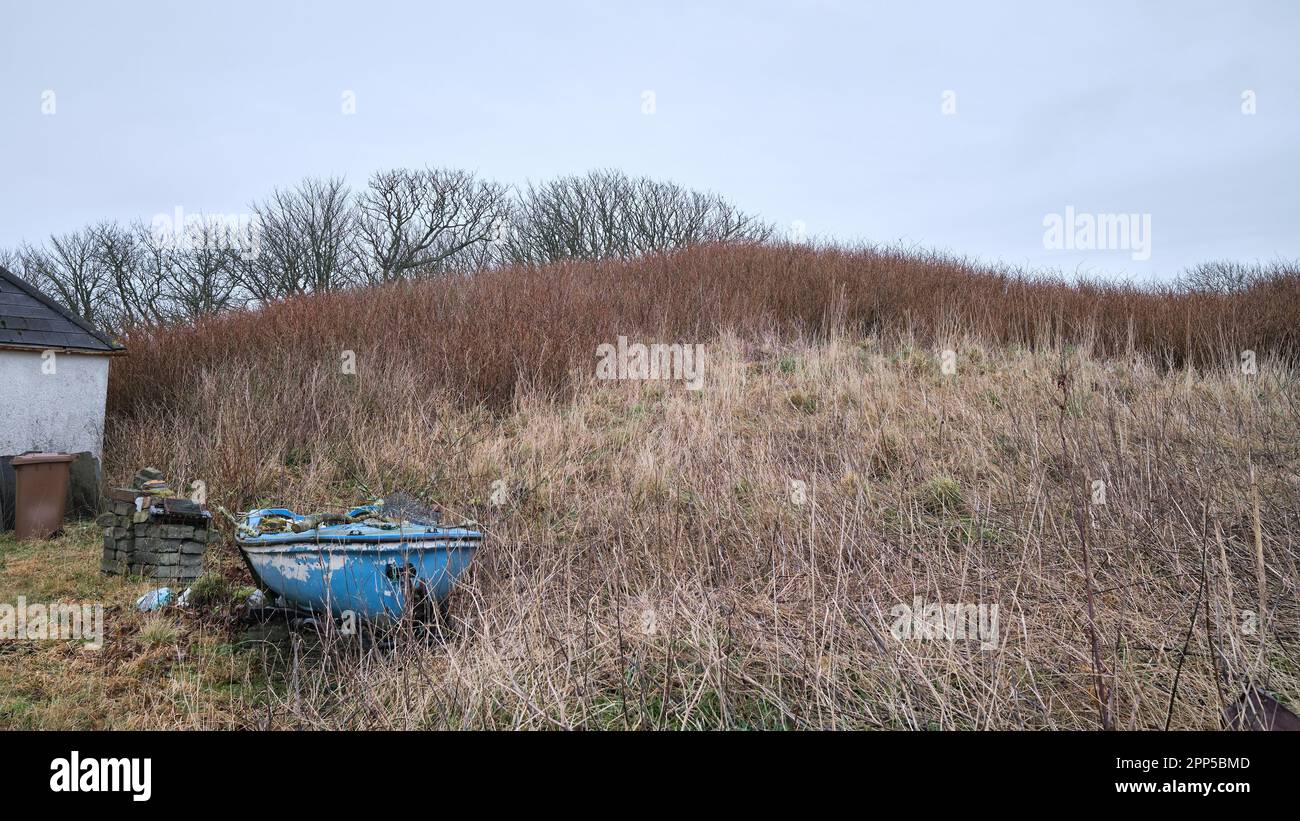 Pictish house hi-res stock photography and images - Alamy