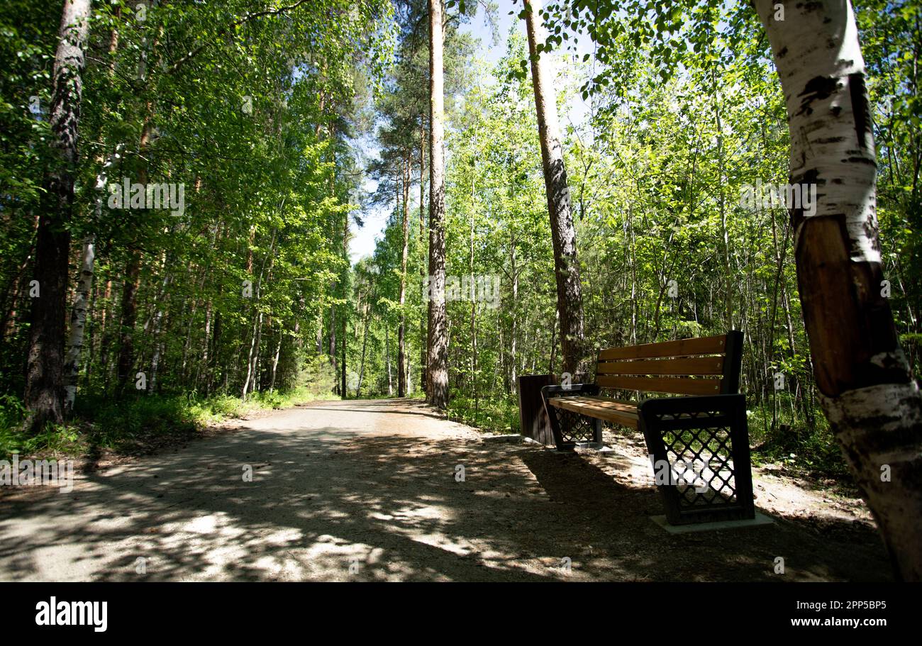 Wooden bench near pathway in trees shadow of summer forest park in ...