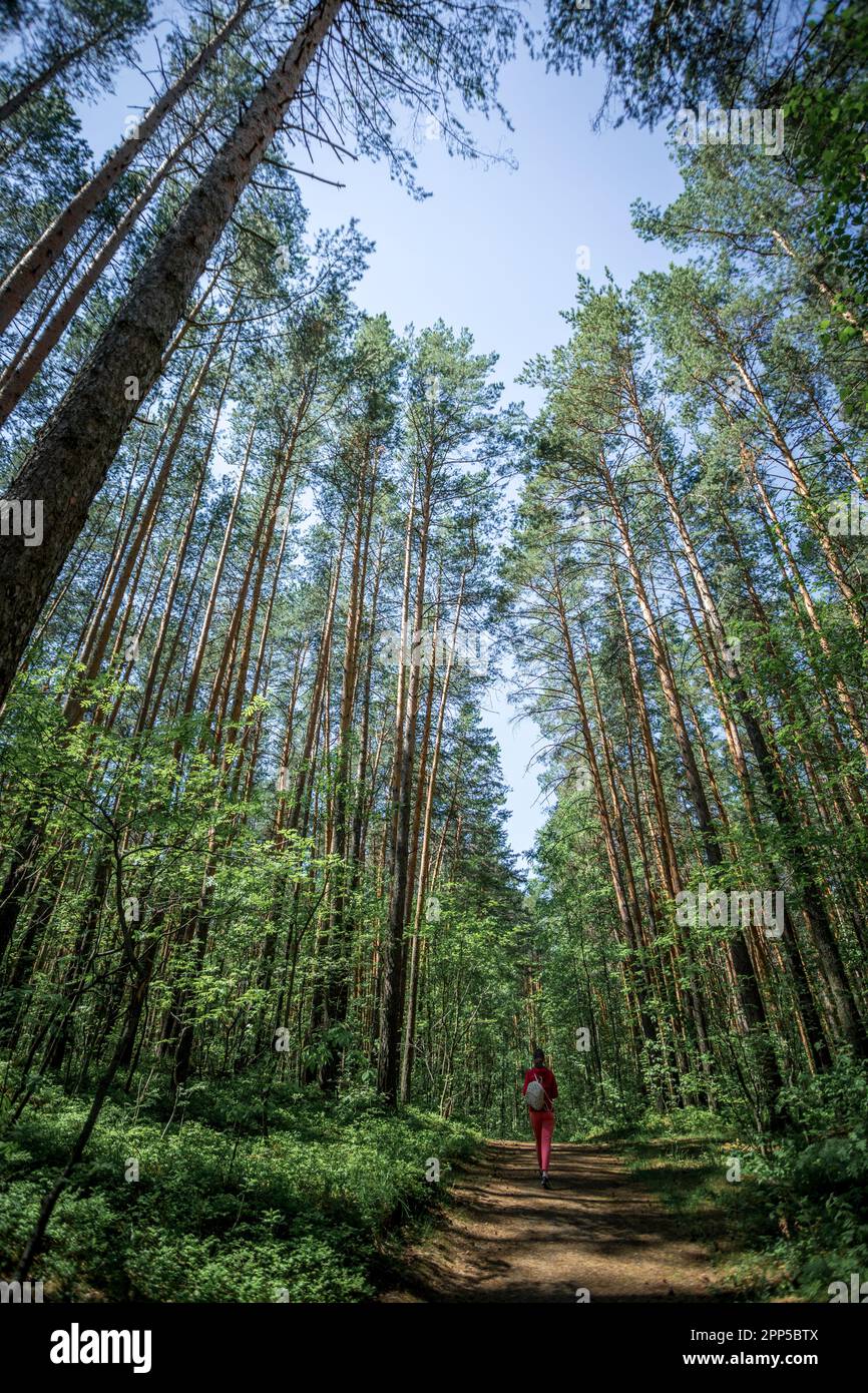 Small young girl figure in red cloth walking along path deep into ...