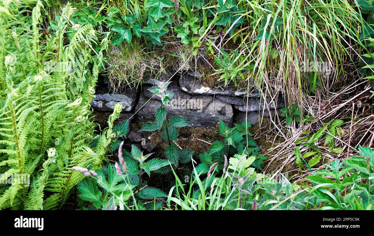 West tofts hi-res stock photography and images - Alamy