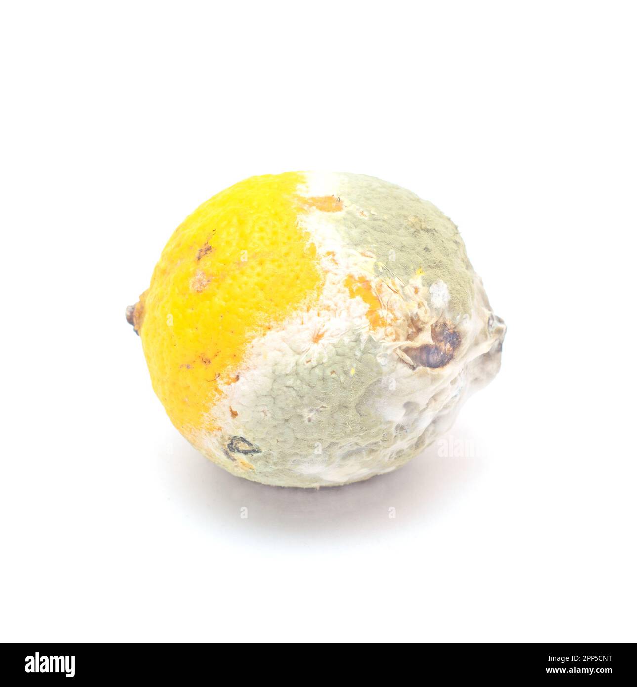 Moldy lemon isolated on white background Stock Photo - Alamy