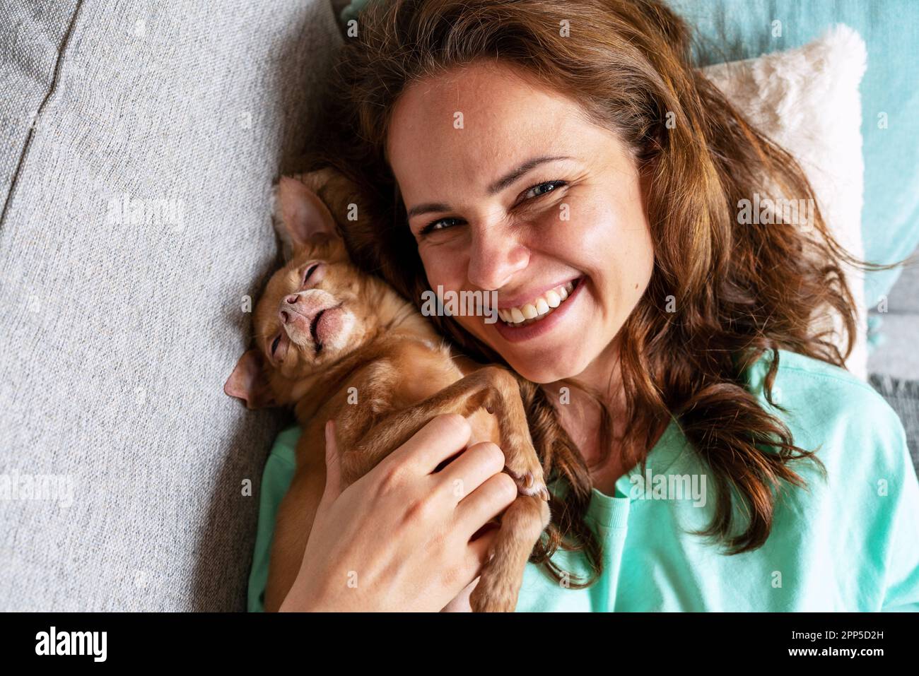 Top view portrait of funny sleeping small red color dog and happy woman ...