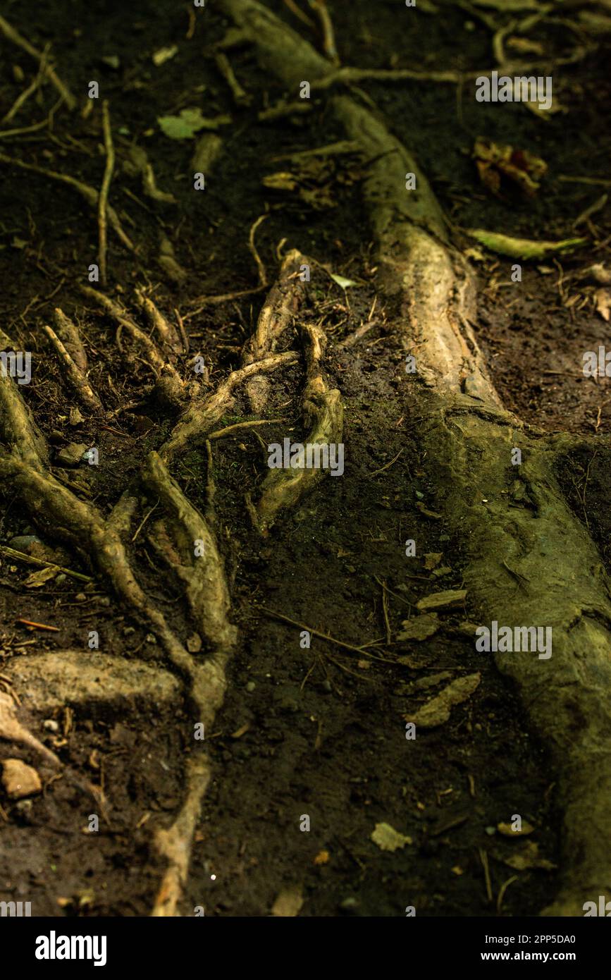 Environmental awe hi-res stock photography and images - Alamy