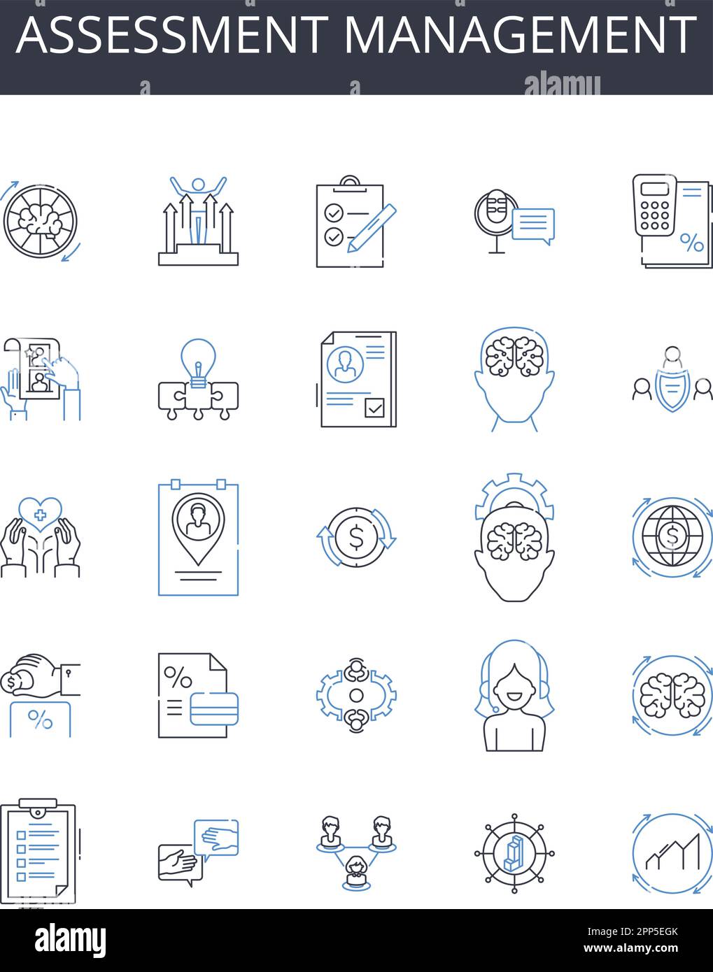 Assessment Management Outline Icons Collection Risk Control Budget