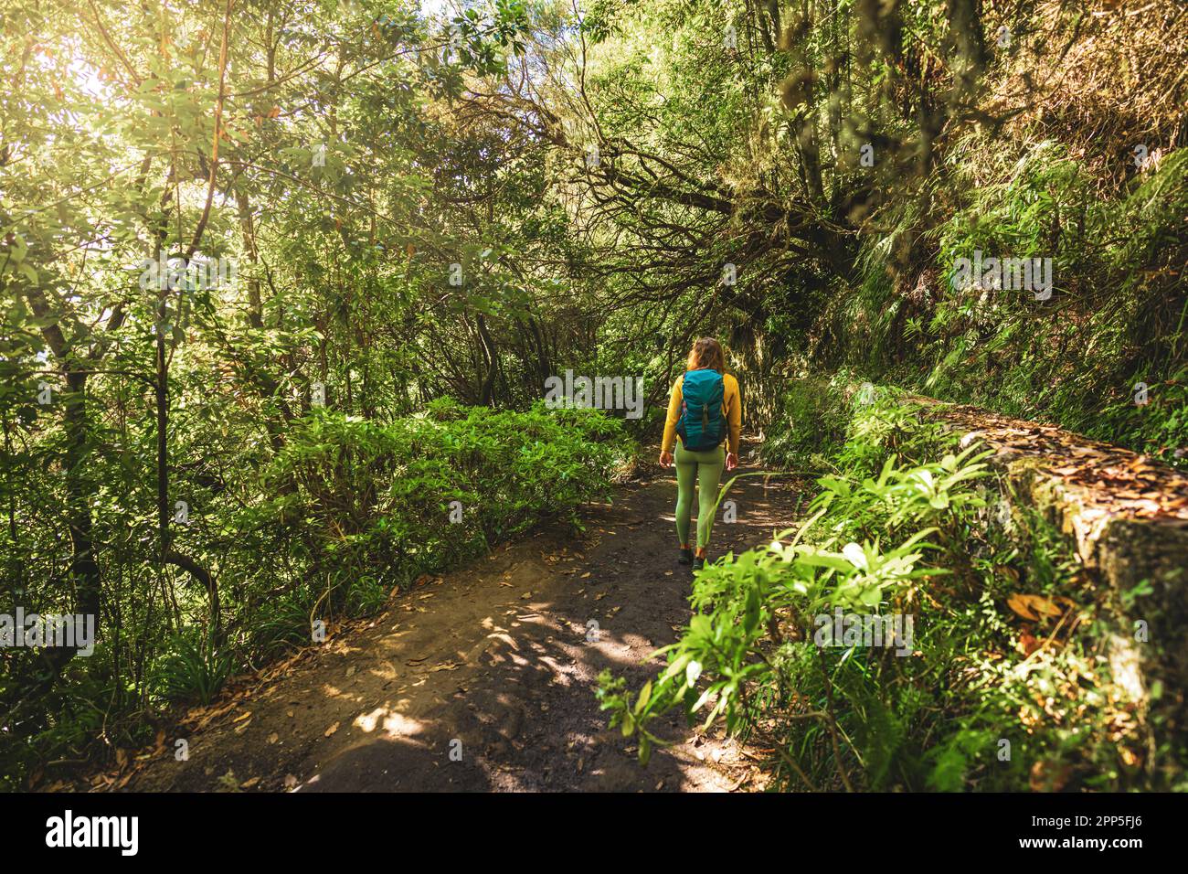 Description: Tourist woman walking along jungle footpath next to water ...