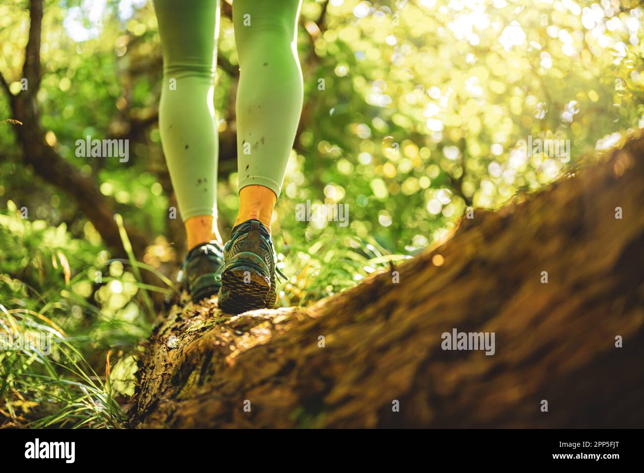 Description: Legs of woman walking on tree stem with beautiful sunny ...