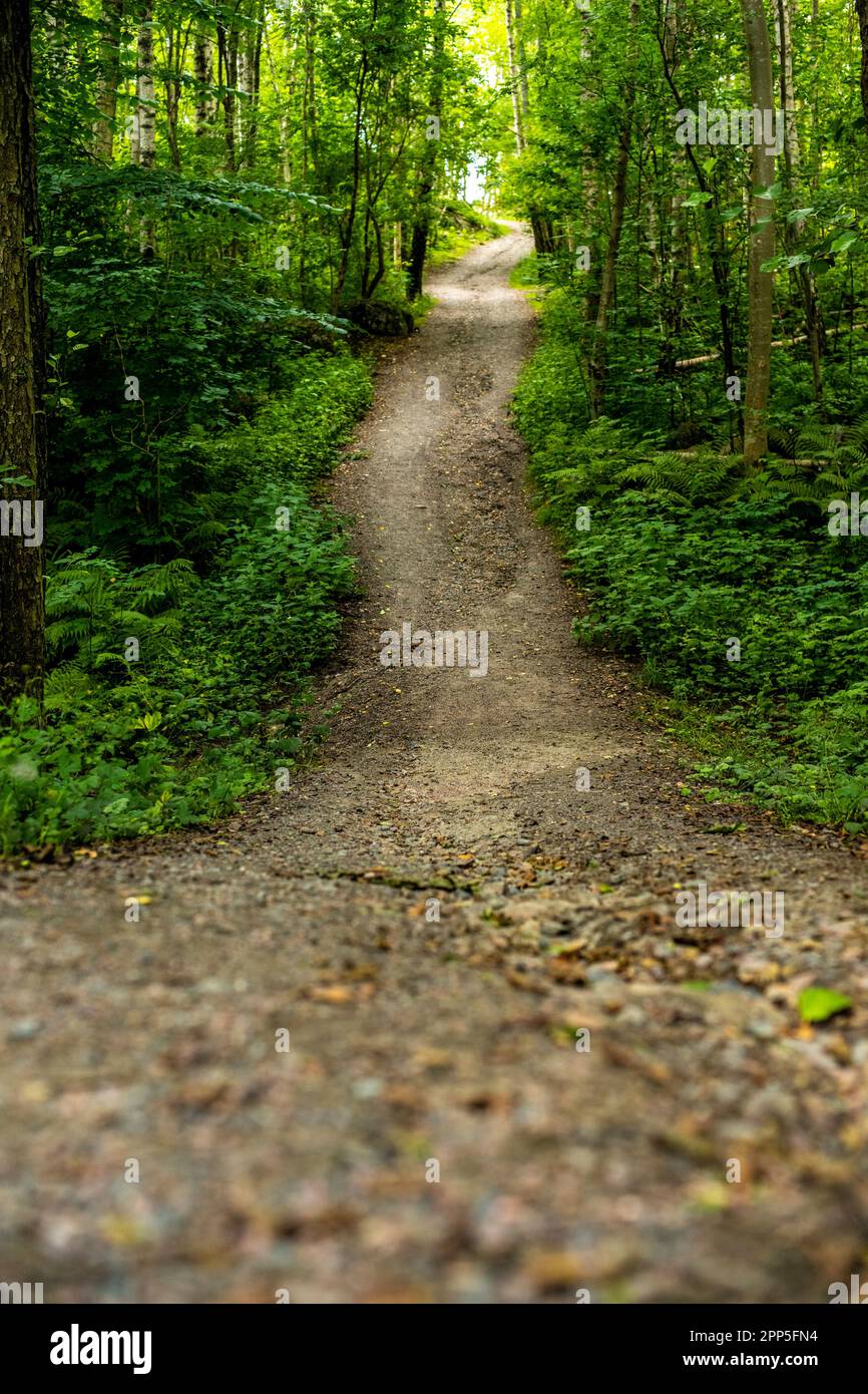 Narrow forest path with a steep incline Stock Photo - Alamy