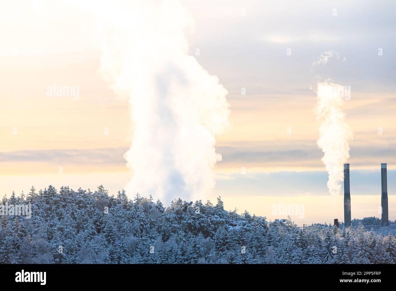Steam rising from industry behind winter forest Stock Photo - Alamy