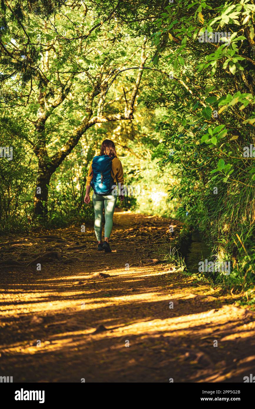 Description: Tourist woman walking along jungle footpath next to water ...
