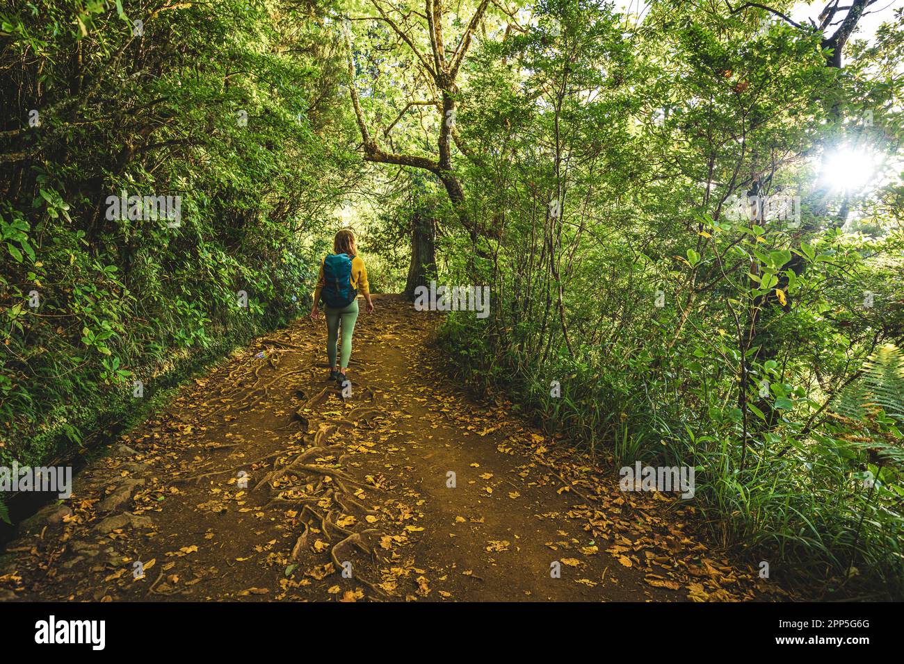 Description: Tourist woman walking along jungle footpath next to water ...