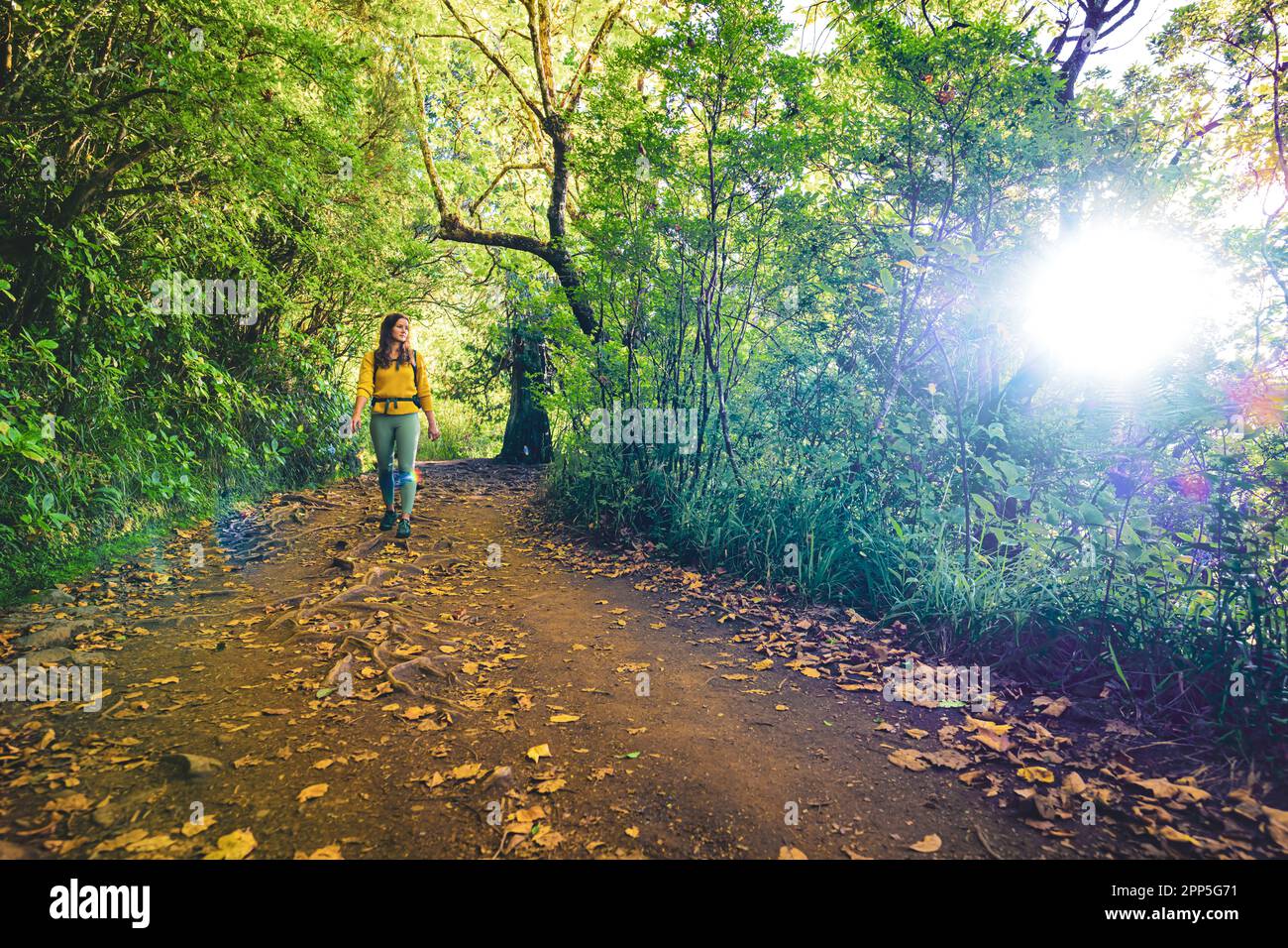 Description: Tourist woman walking along jungle footpath next to water ...