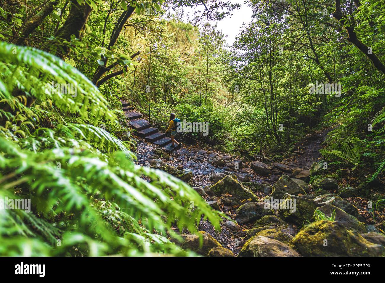 Description: Tourist woman walks through jungle on the stairs on the ...