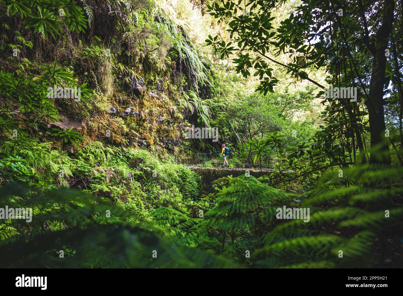 Description: Backpacker woman walking on overgrown footpath over old ...
