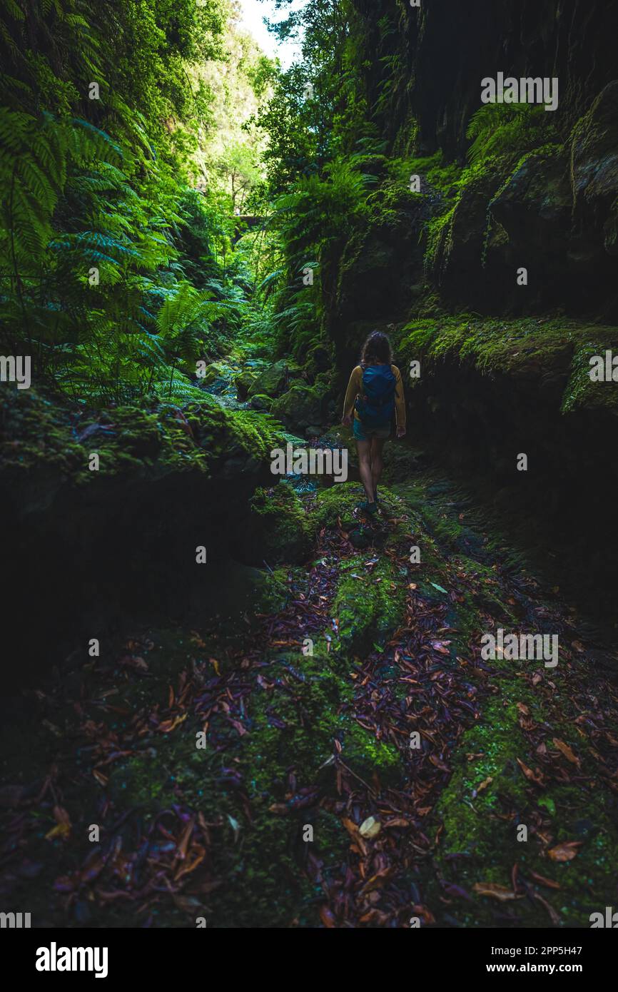 Description: Tourist woman walking on a fern covered gorge with old ...
