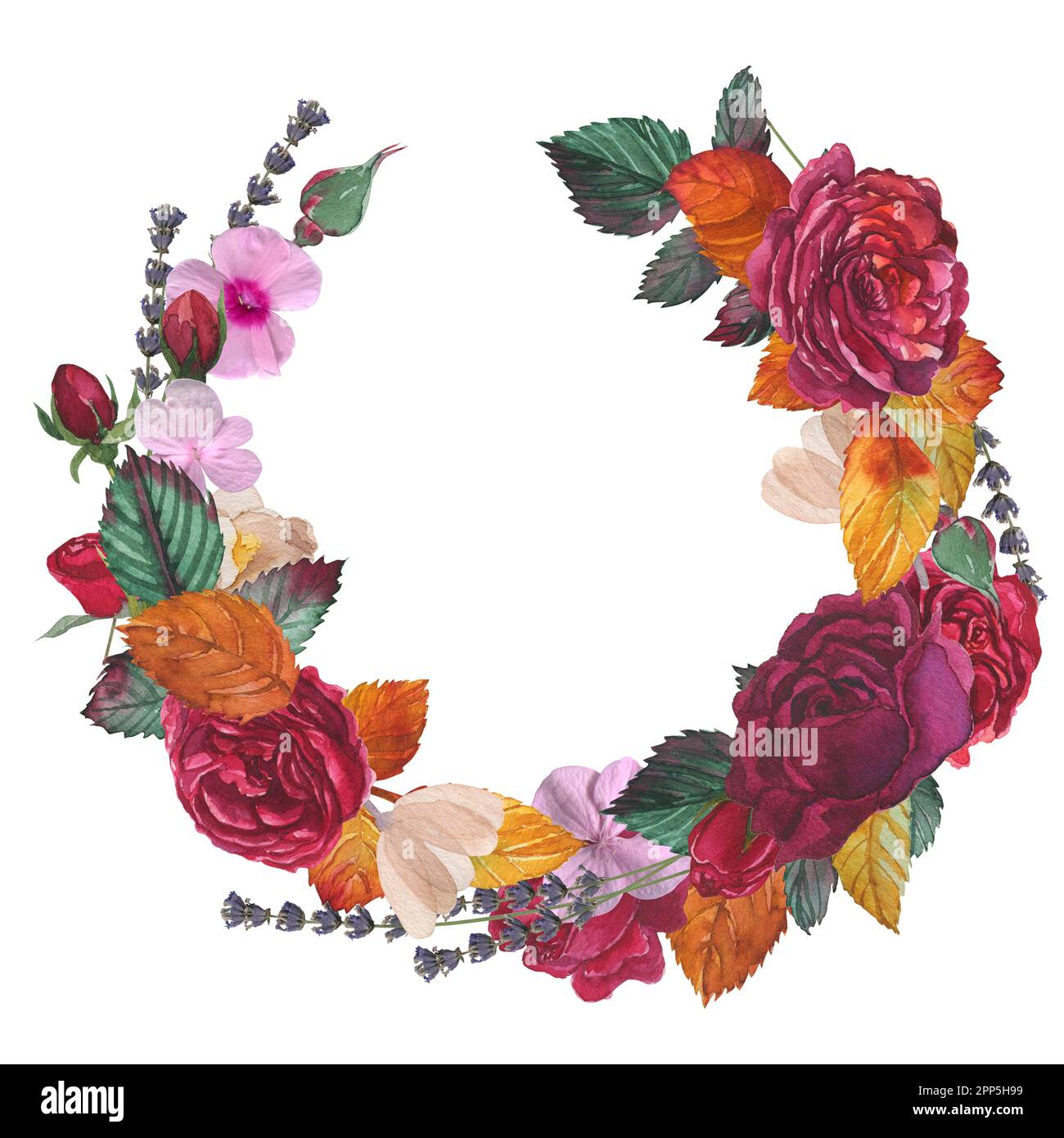 Poppy wreath isolated Cut Out Stock Images & Pictures - Alamy