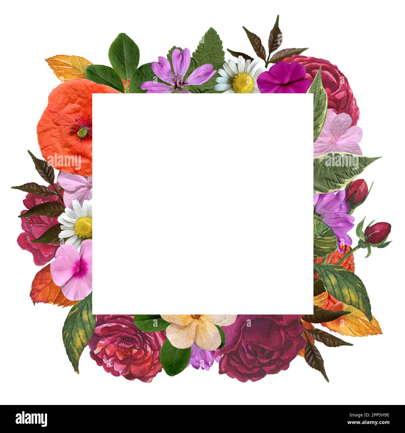 Flower frame isolated on white background Stock Photo - Alamy