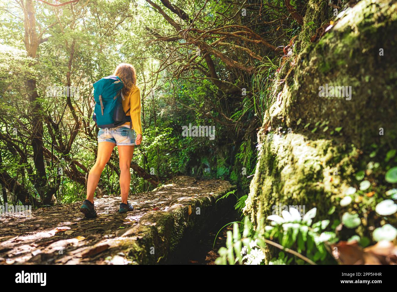 Description: Tourist woman walking along jungle hiking trail next to ...