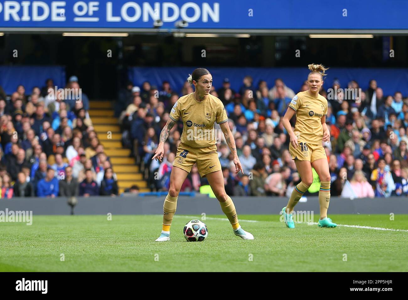 Mapi leon hi-res stock photography and images - Alamy