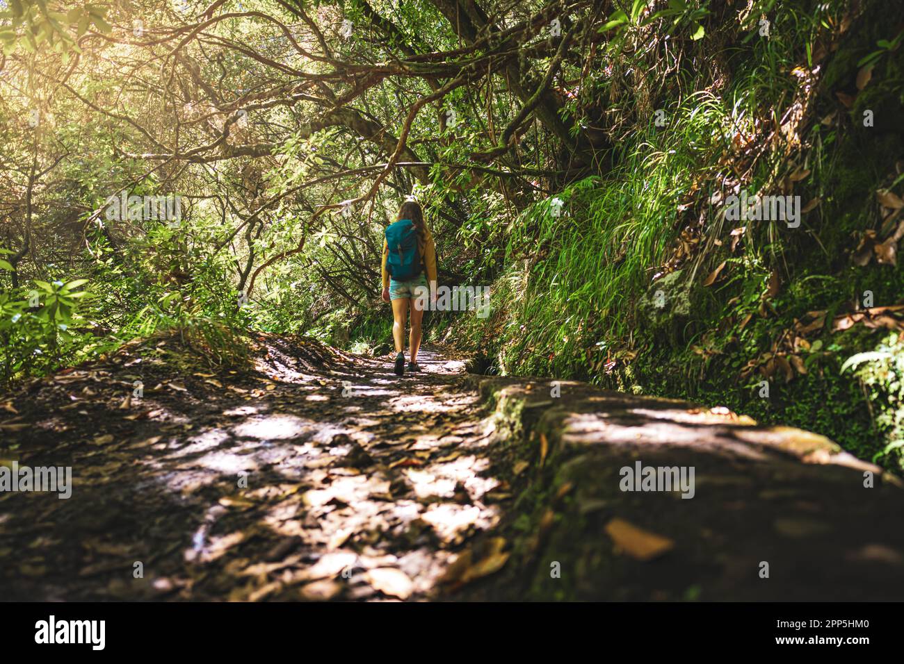 Description: Tourist woman walking along jungle hiking trail next to ...