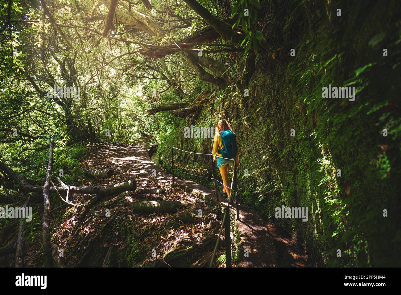 Description: Tourist woman walking along jungle hiking trail next to ...