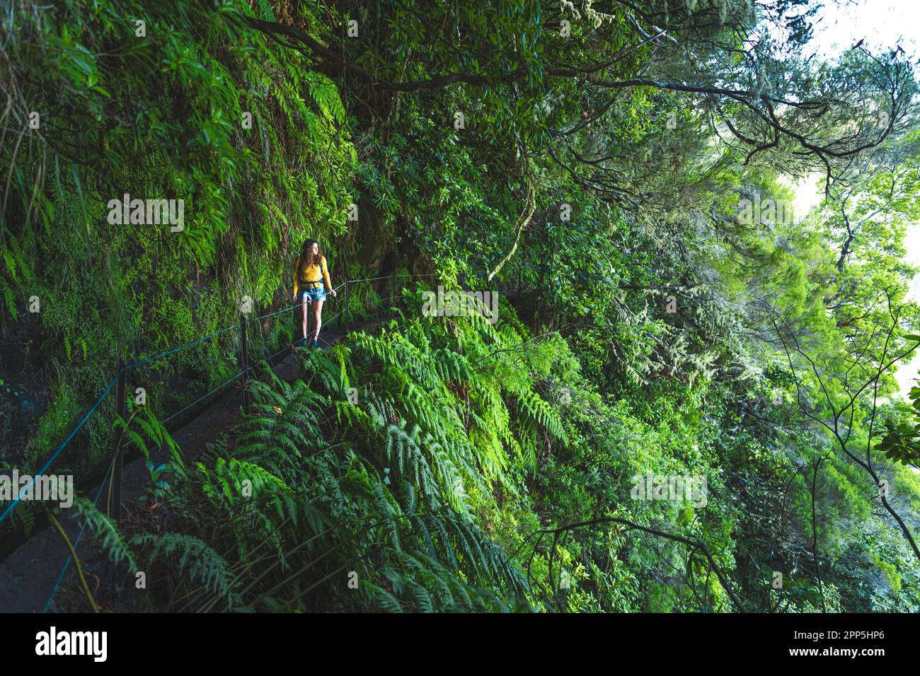 Description: Backpacker woman walking along steep, overgrown jungle ...