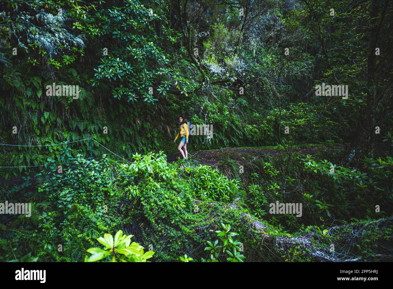 Description: Tourist woman walking along steep, overgrown jungle hiking ...