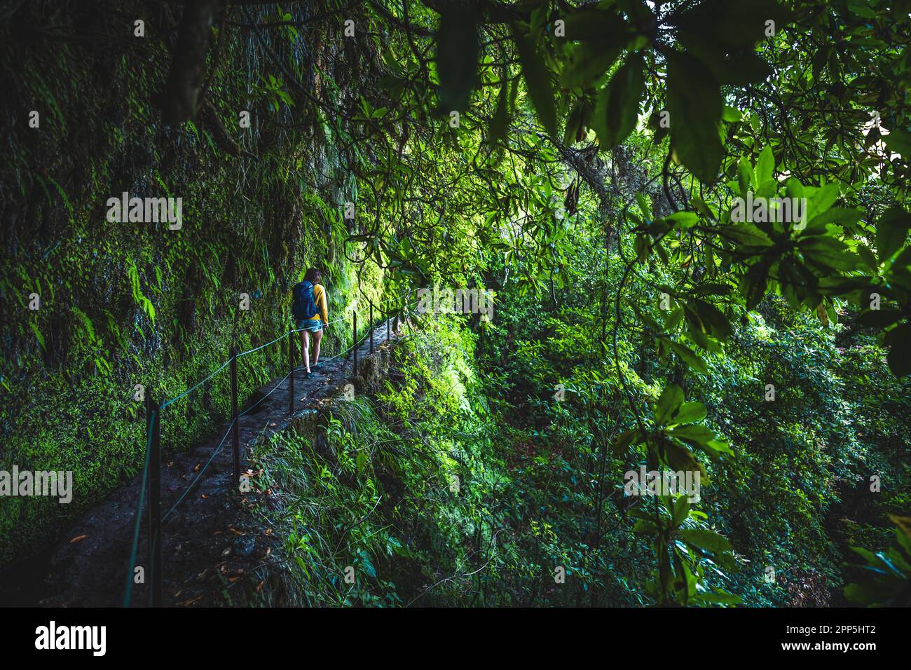 Description: Tourist woman walking along steep, overgrown jungle hiking ...
