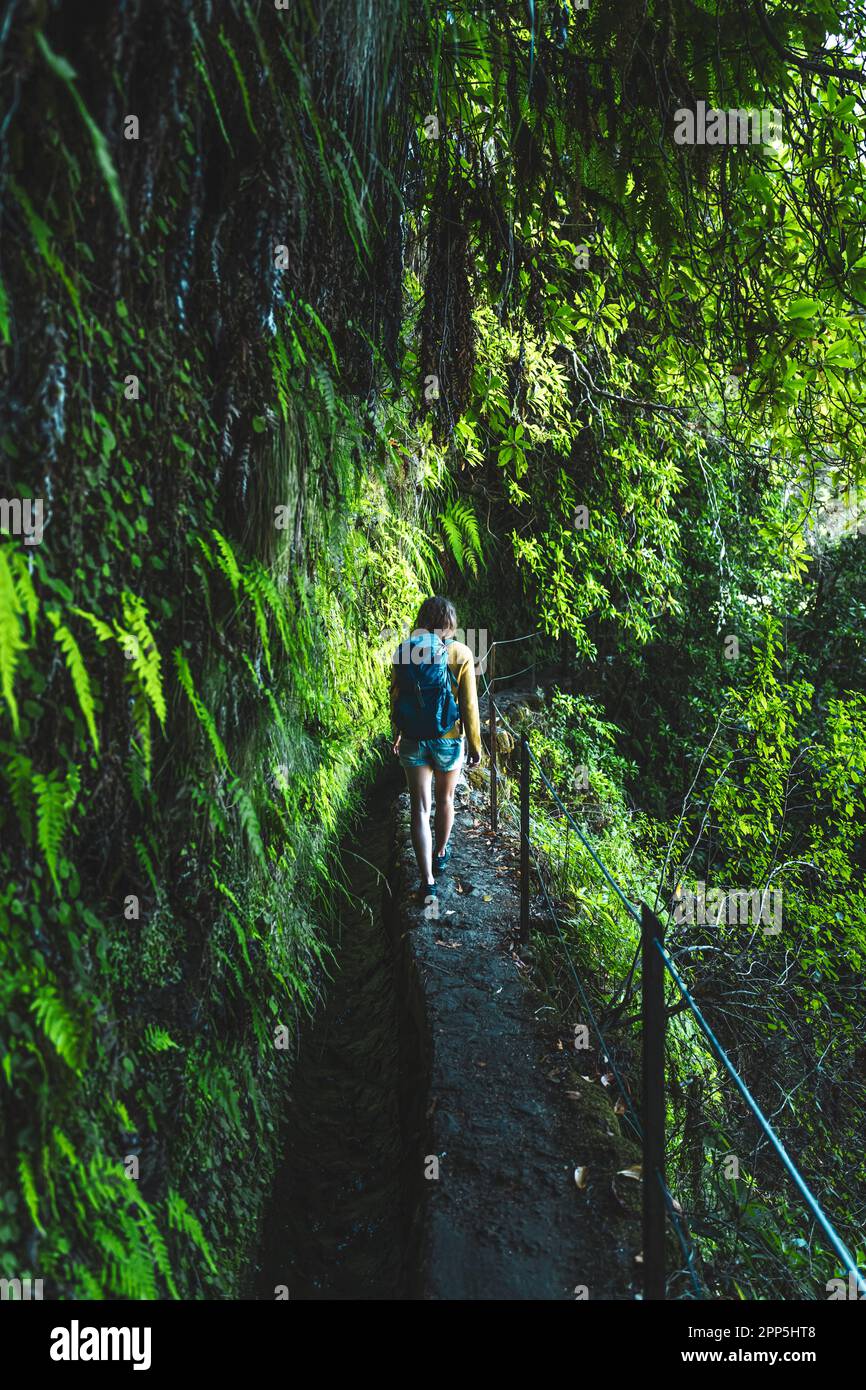 Description: Backpacker woman walking along steep, overgrown jungle ...