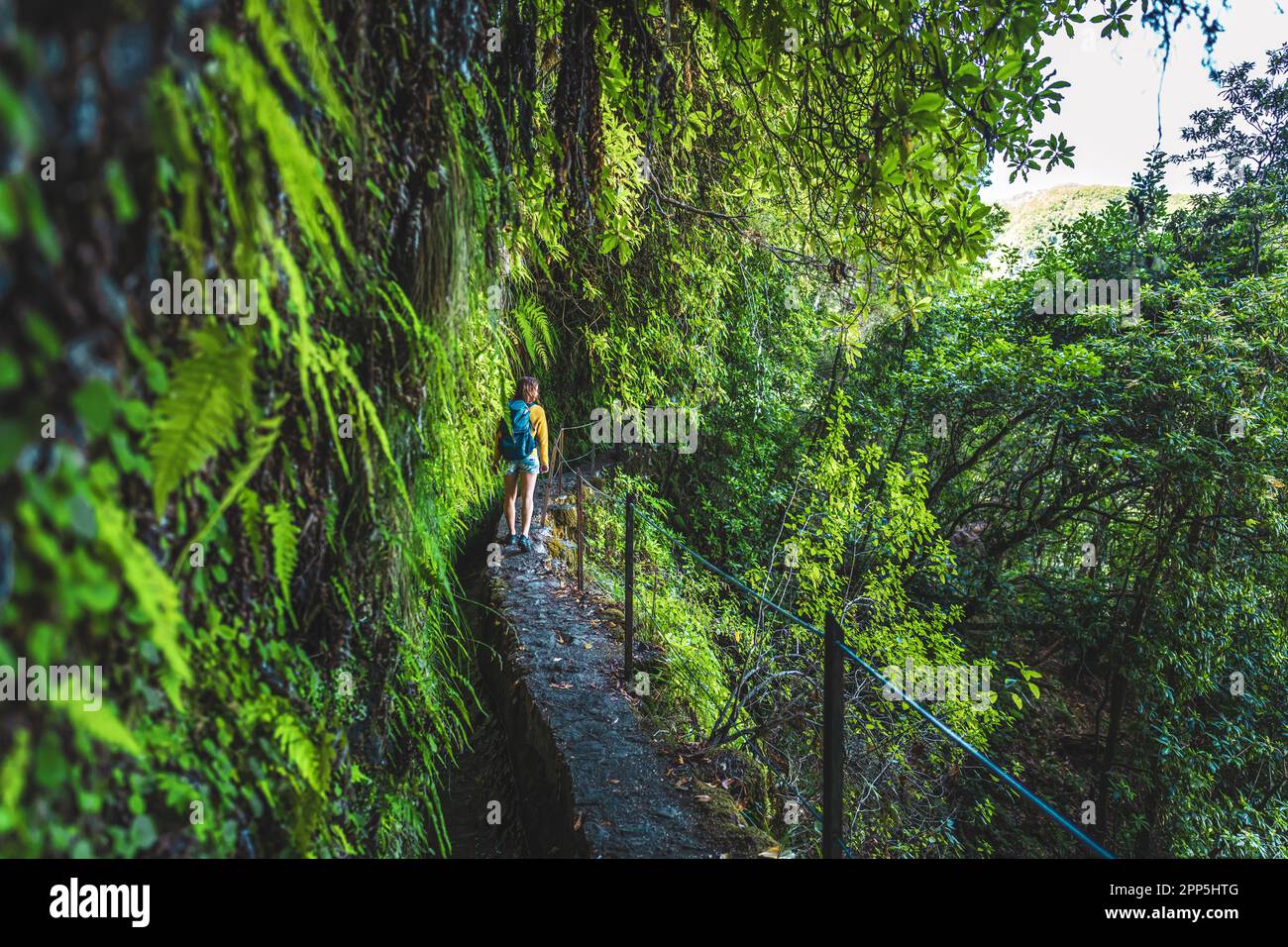 Description: Tourist woman walking along steep, overgrown jungle hiking ...