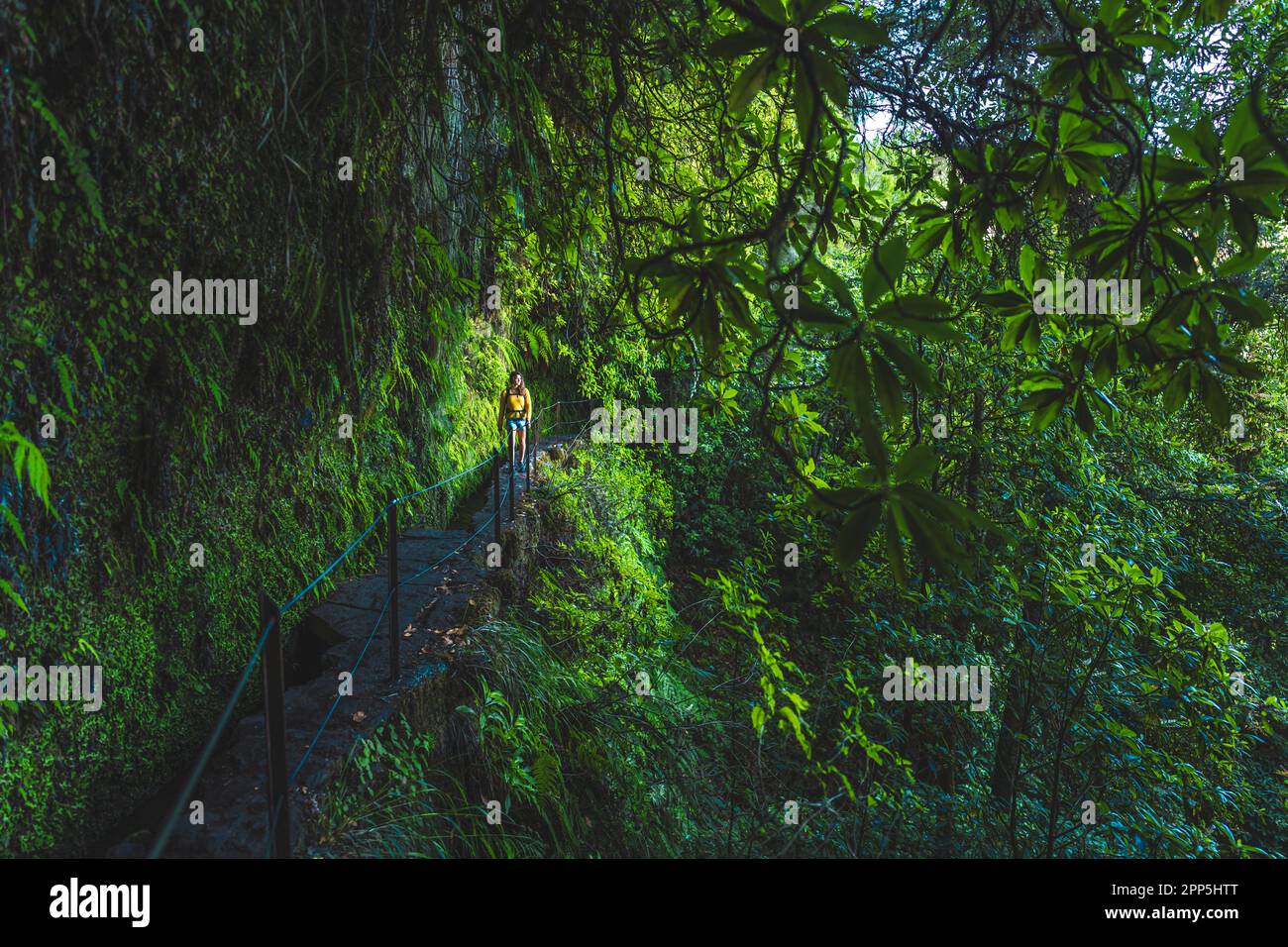 Description: Tourist woman walking along steep, overgrown jungle hiking ...