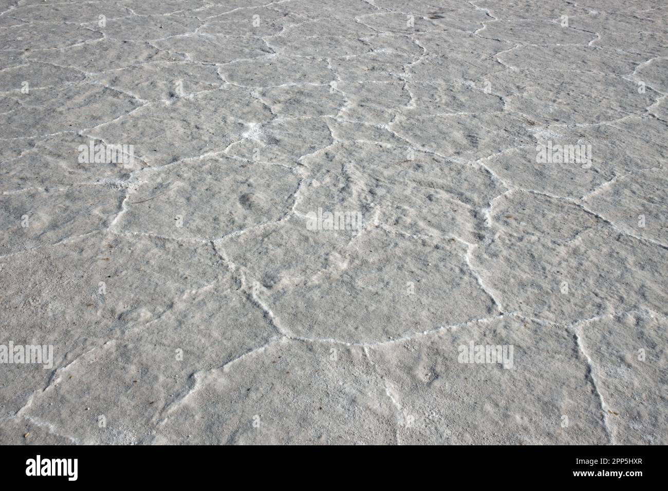 A close-up photo of the crystallized salt surface of Salar de Uyuni ...