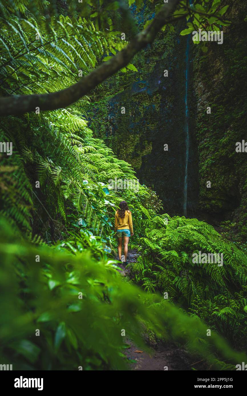 Description: Tourist woman walking along fern overgrown hiking trail ...
