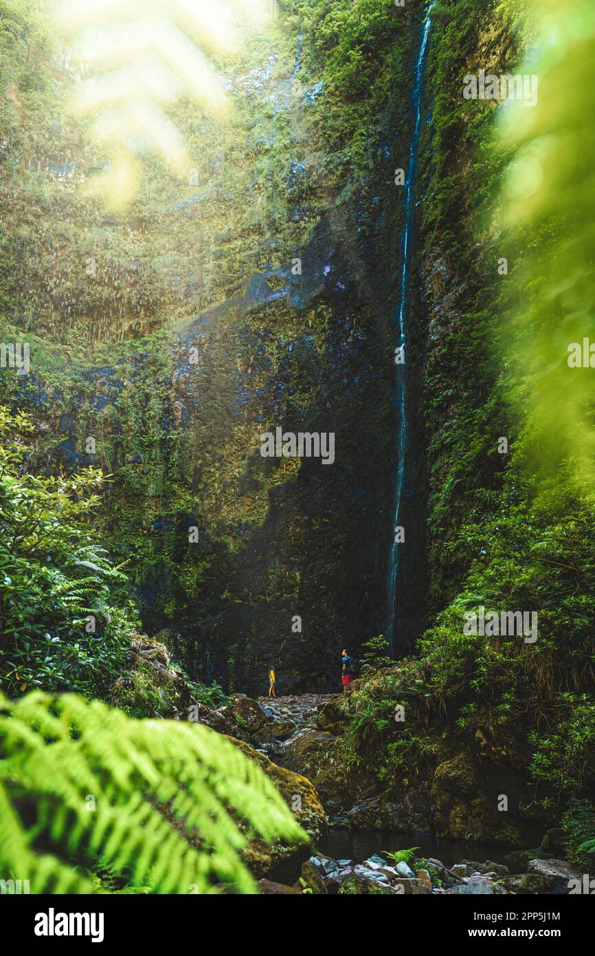 Description: Tourists in the distance looking at scenic, overgrown ...