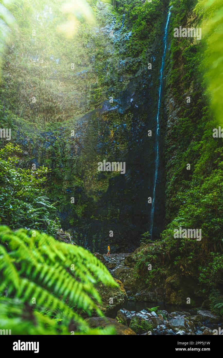 Description: Tourist woman in the distance looking at scenic, overgrown ...