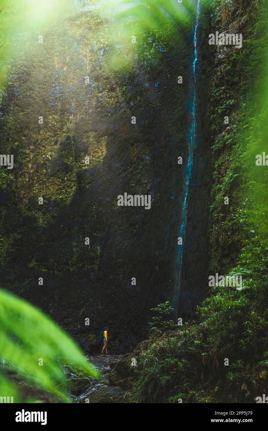 Description: Tourist woman in the distance looking at scenic, overgrown ...