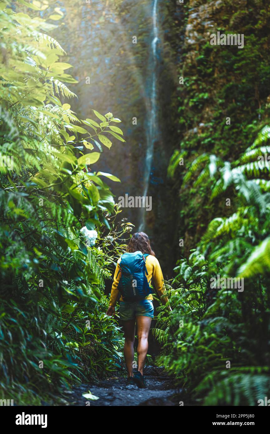 Description: Backpacker woman walking along fern overgrown hiking trail ...