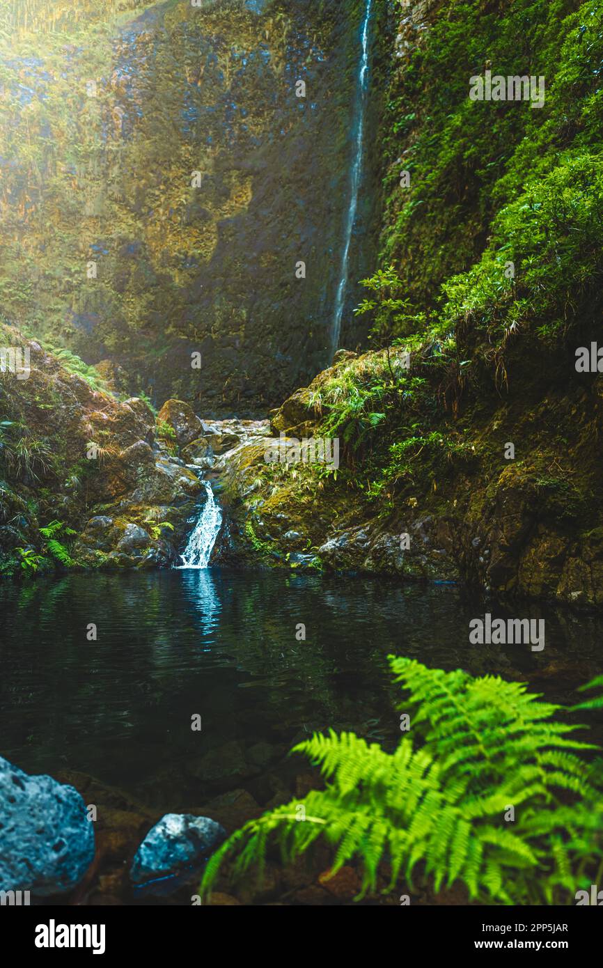 Description: Idyllic pool photographed at overgrown waterfall in the ...