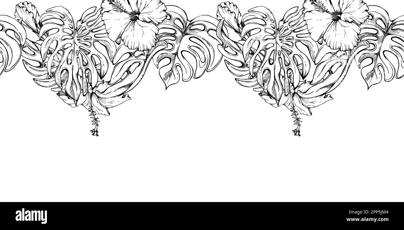 Hand drawn vector ink exotic monstera leaves and hibiscus. Seamless ...