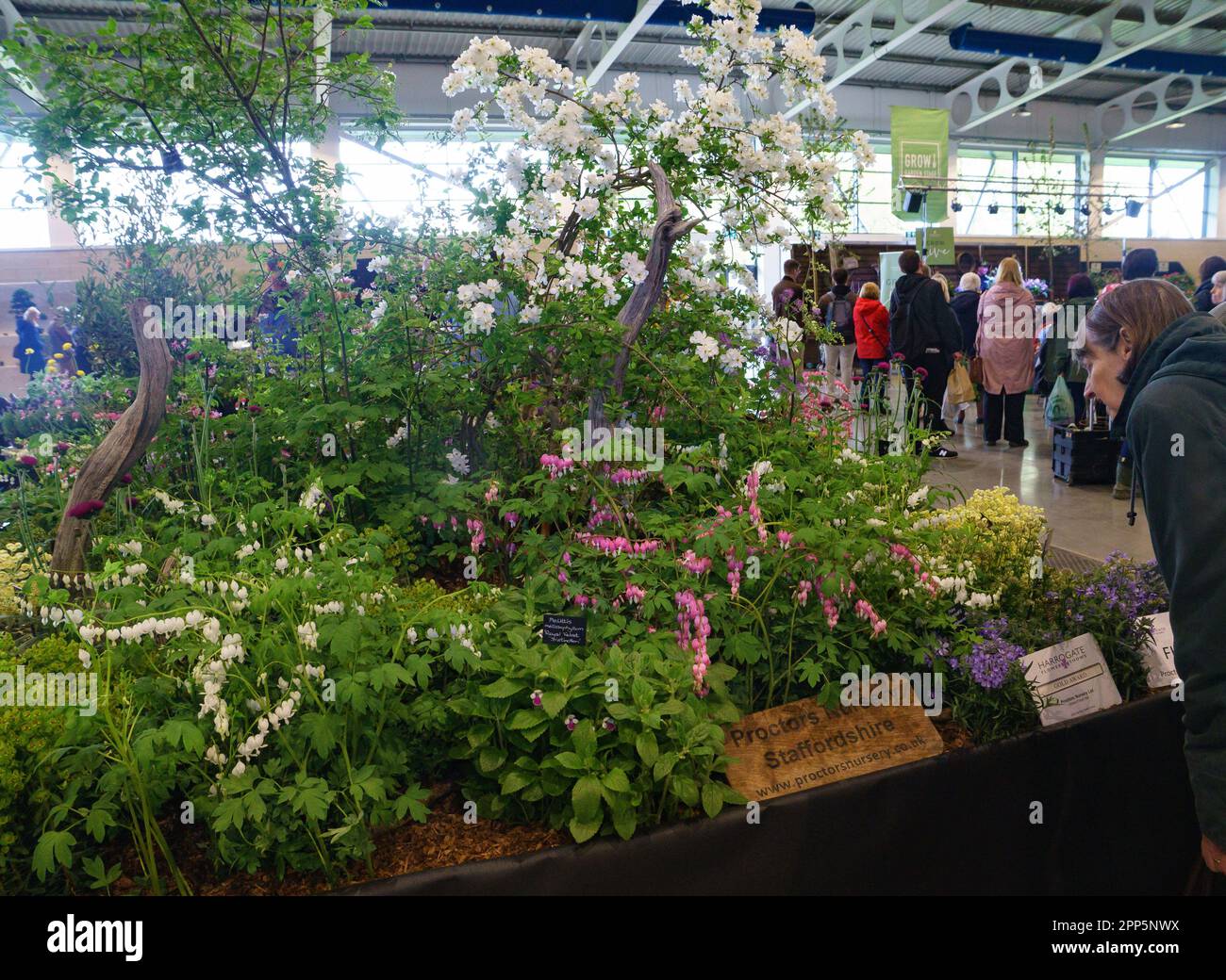 Harrogate, North Yorkshire, UK. 22nd Apr 2022. Harrogate Spring Flower ...