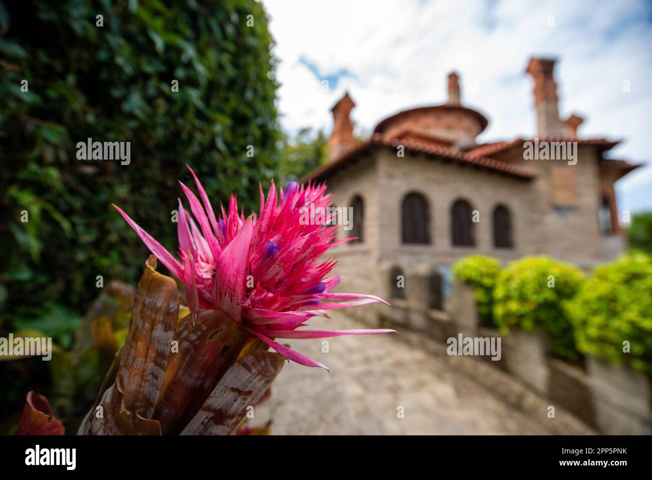 This captivating photograph showcases the intricate and delicate beauty ...