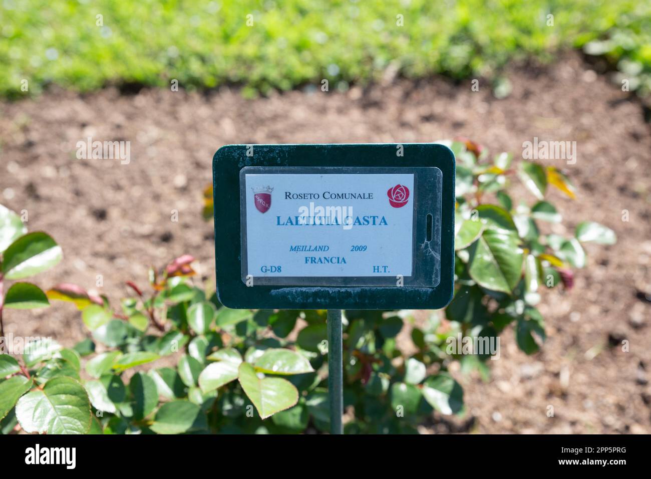 Media casta hi-res stock photography and images - Alamy